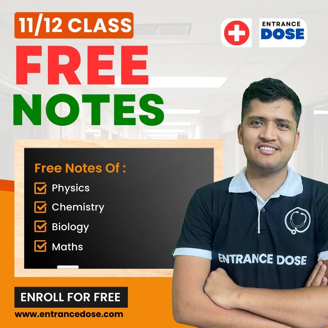 HomePage | EntanceDose