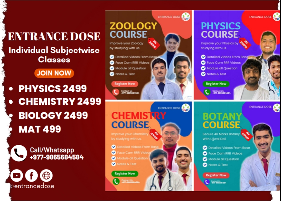 HomePage | EntanceDose