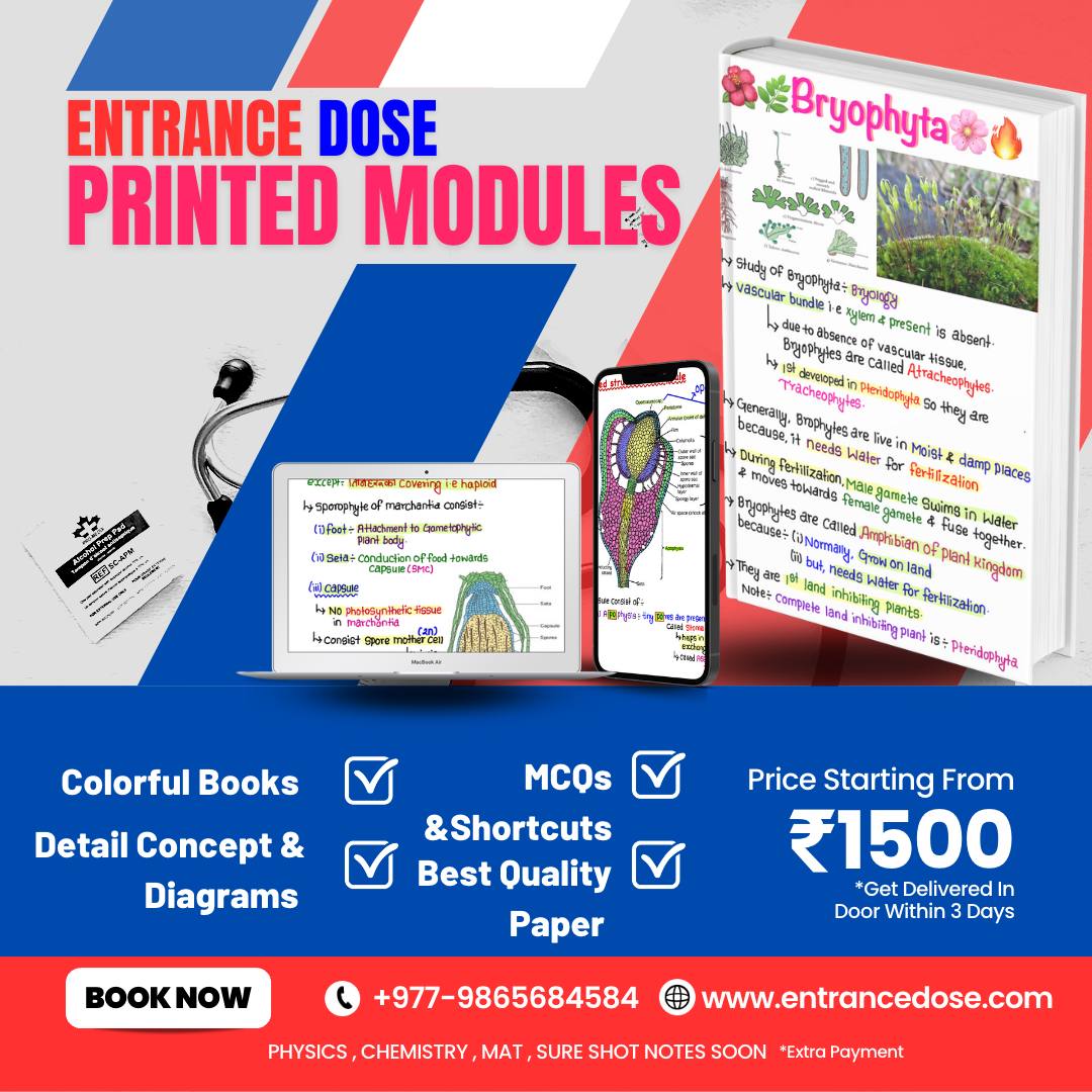 HomePage | EntanceDose